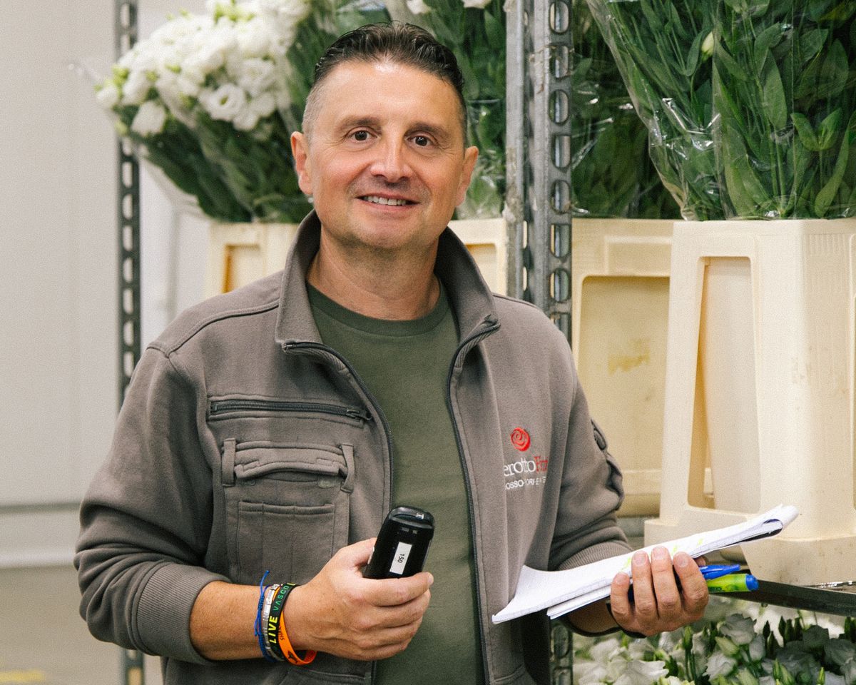 Ingrosso Fiori e Piante Nord Italia - Consegna Rapida 1-2 Ore | Merotto ...